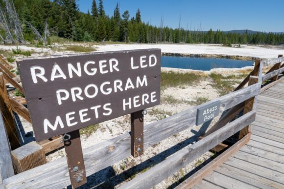 Top 7 Reasons to Take a Guided Tour of Yellowstone from West ...